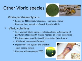 Bacteriology | PPT