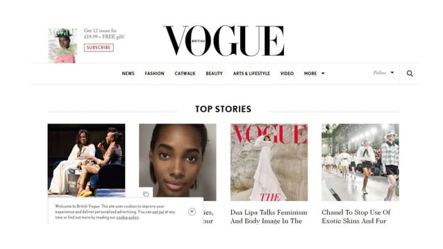 Website conventions | PPT