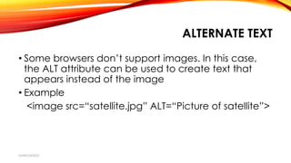 WEBSITE DESIGNING GRADE 11.pdf for school going learners for senior ...