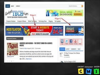 Website design with Wordpress ppt | PPTX