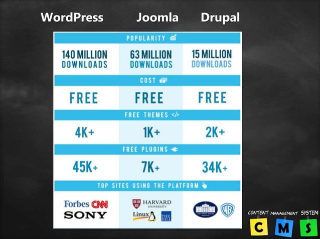 Website design with Wordpress ppt | PPTX