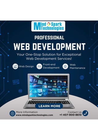 Offshore Web Development Company in Orlando, Florida, USA - Mindspark ...