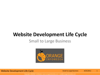 Website development life cycle | PPT