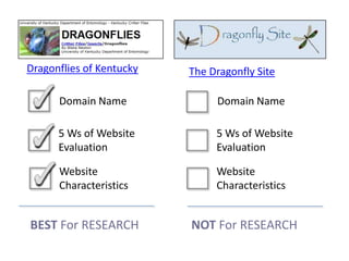 Website evaluation | PPTX
