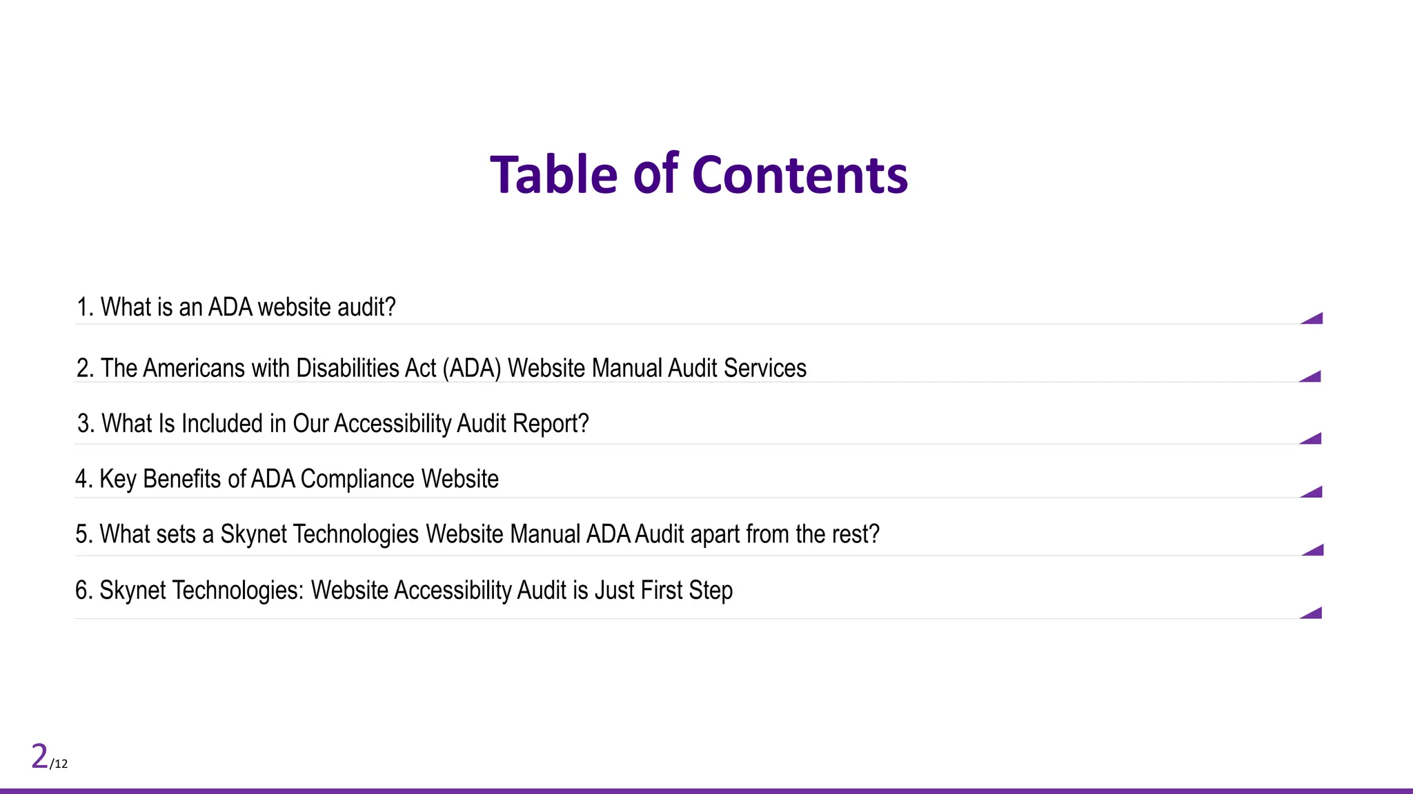 Website Manual ADA Audit Service - Digital Accessibility Audit | PPT