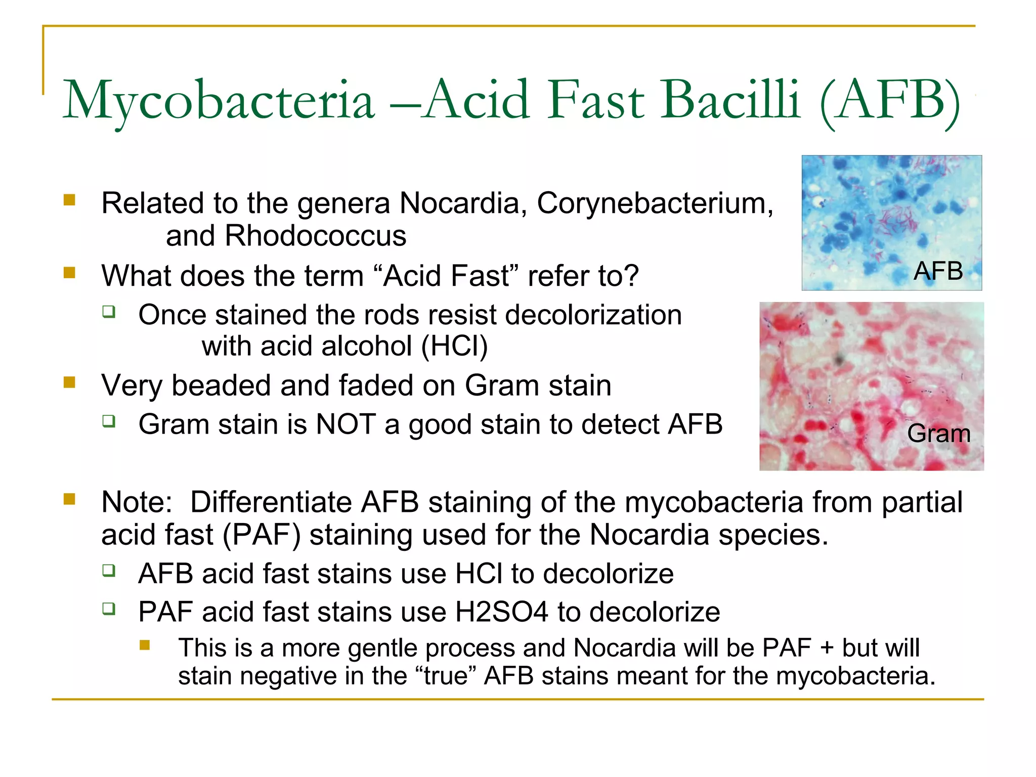 Mycobacteriology 2016 | PPT