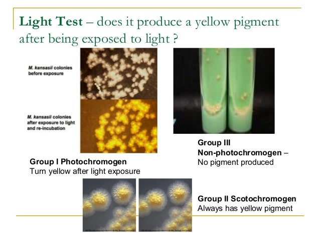 Mycobacteriology 2016