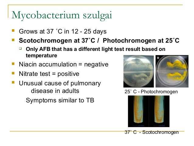 Mycobacteriology 2016