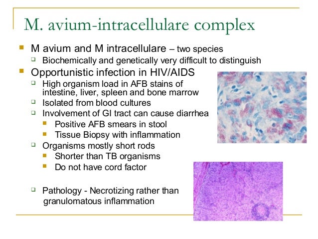 Mycobacteriology 2016