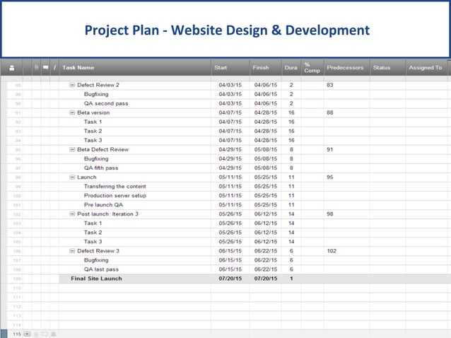 Web Project Plan for Design and Development | PPT