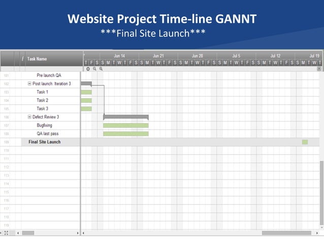 Web Project Plan for Design and Development | PPT