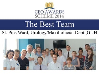 CEO Awards 2014 Shortlist | PPT | Free Download