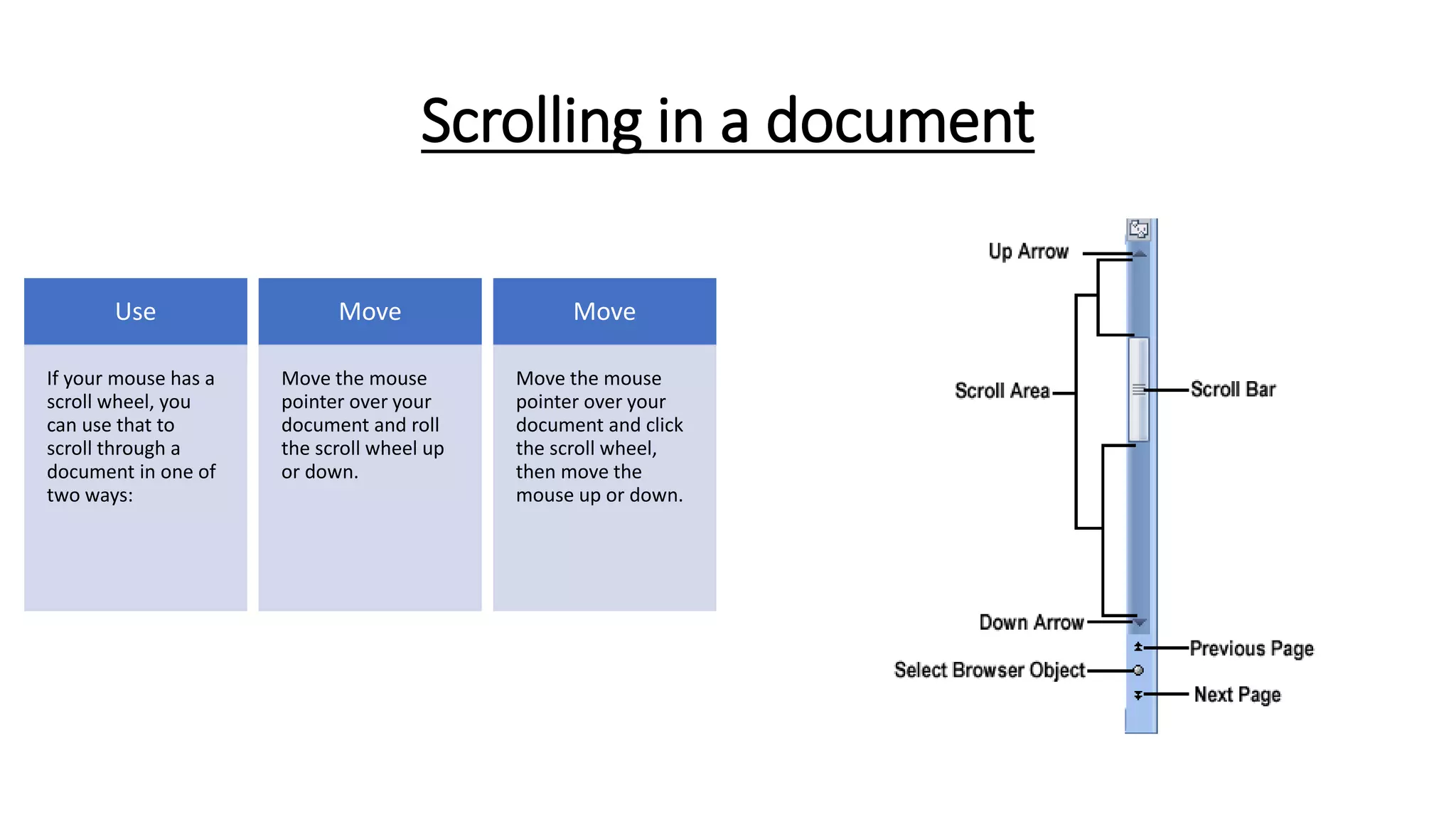 Web Technology Assignment.pptx