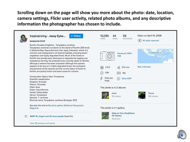 Flickr World Map Web Tutorial | PPTX | Internet for Beginners | Internet