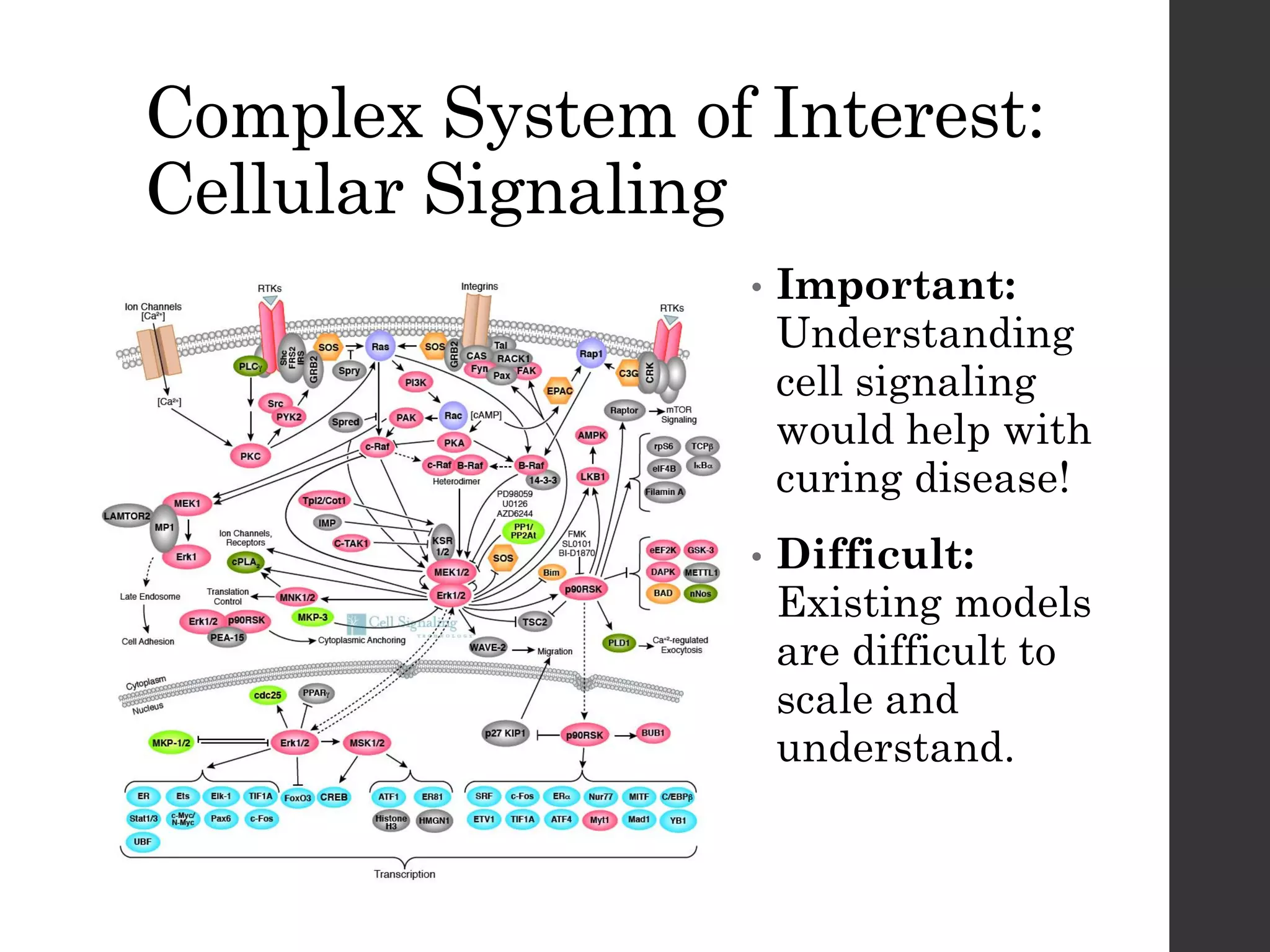 Programming Languages For Biological Modeling Ppt