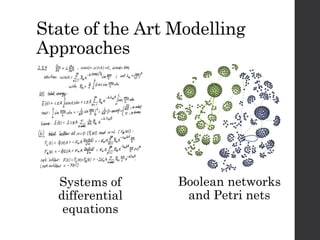 Programming Languages for Biological Modeling | PPT