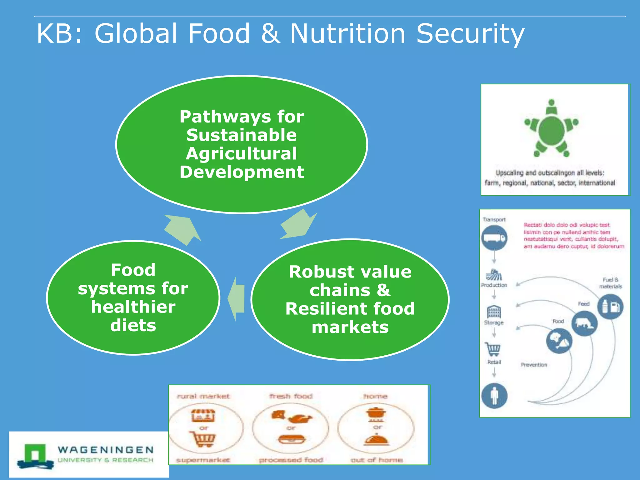 WUR research of food systems | PPTX