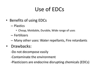 Prenatal Exposure To Endocrine Disruptors And Its Impact On Adult Onset ...