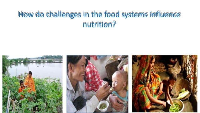 “What is nutrition-sensitive agriculture?” From concepts to practice ...