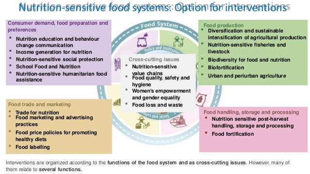 “What is nutrition-sensitive agriculture?” From concepts to practice