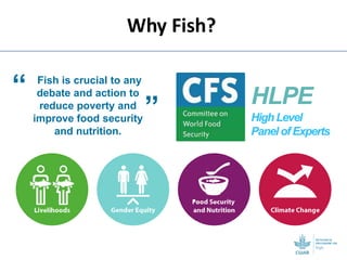 What are nutrition sensitive fish agri-food systems? Approaches and ...