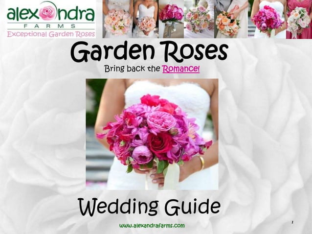 Wedding Garden Rose Guide 2015 | PPT