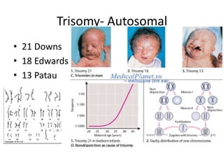 Introductory genetics and embryology | PPTX