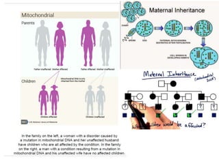 Introductory genetics and embryology | PPT