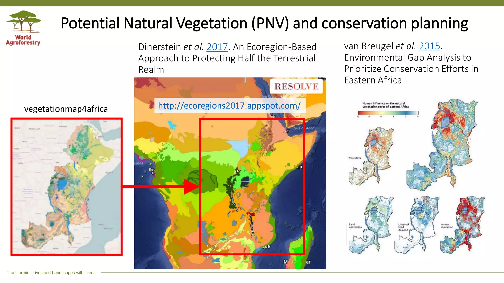 Mapping trees species in geographical and environmental space: a ...