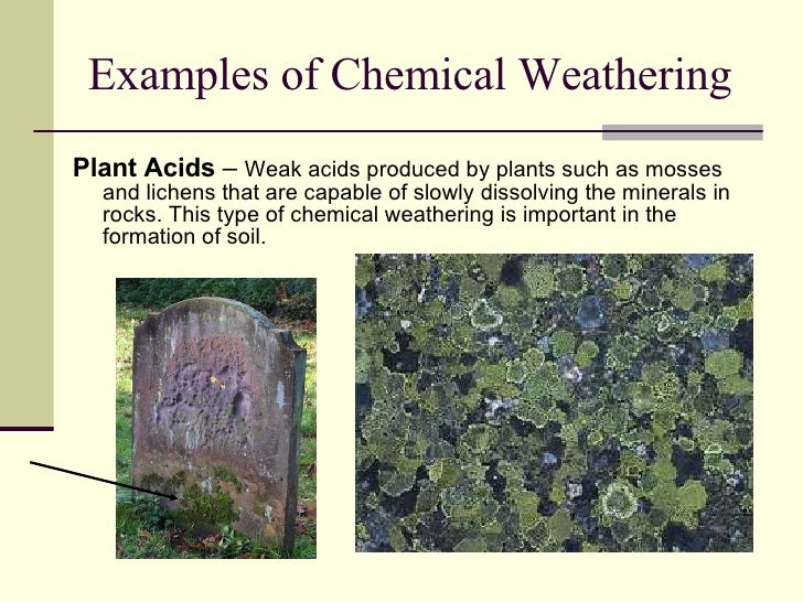 Chemical Weathering Plant Acid