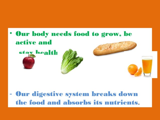 We eat food - The digestive system. | PPT