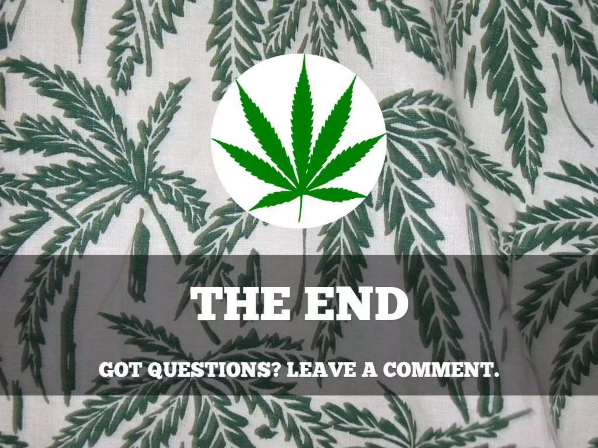Weed 101 : A Beginner's Guide to Cannabis | PPTX