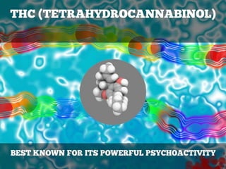 Weed 101 : A Beginner's Guide to Cannabis | PPTX