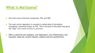 Marijuana | PPT