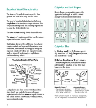 Weed Id | PDF