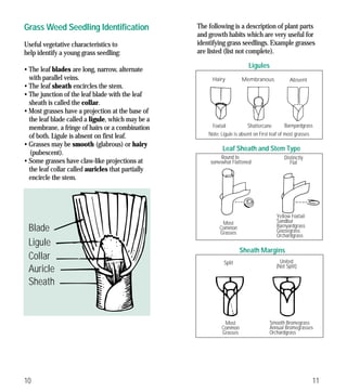 Seedling Identification Guide