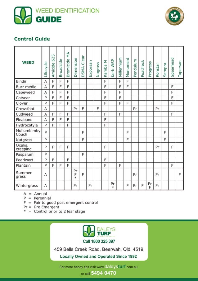 weed identification Guide | PDF