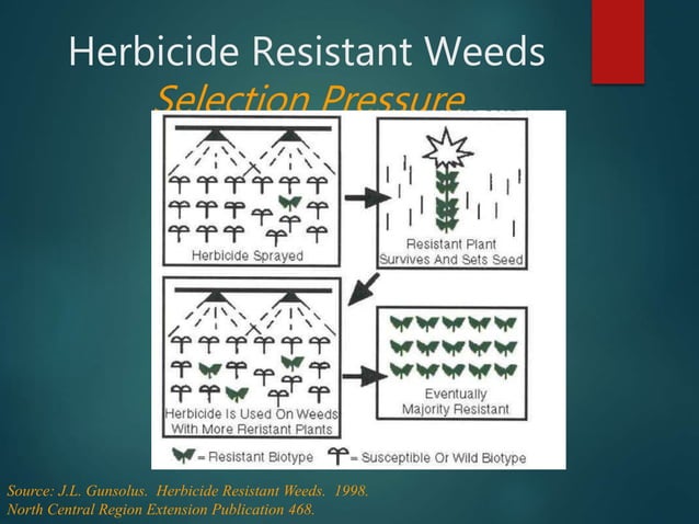 weed-resistance.pptx
