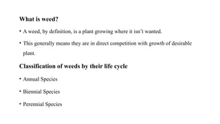 Weed . identification. Technology subject | PPT