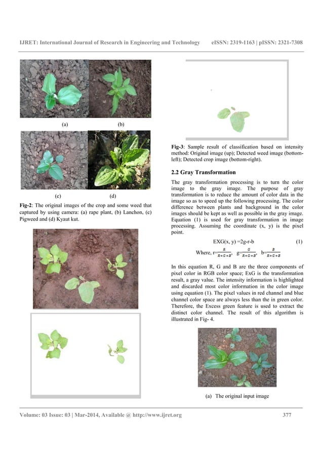 Weed And Crop Segmentation And Classification Using Area Thresholding Pdf
