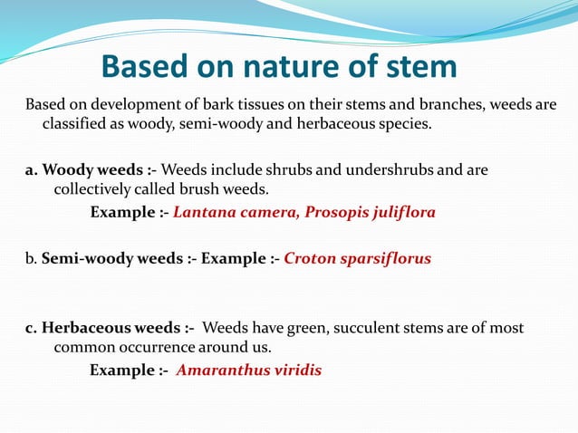 Weed classification Reproduction and dissemination | PPTX