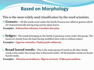 Weed classification Reproduction and dissemination | PPTX
