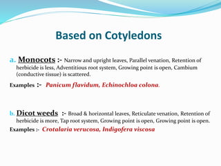 Weed classification Reproduction and dissemination | PPTX