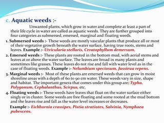 Weed classification Reproduction and dissemination | PPTX