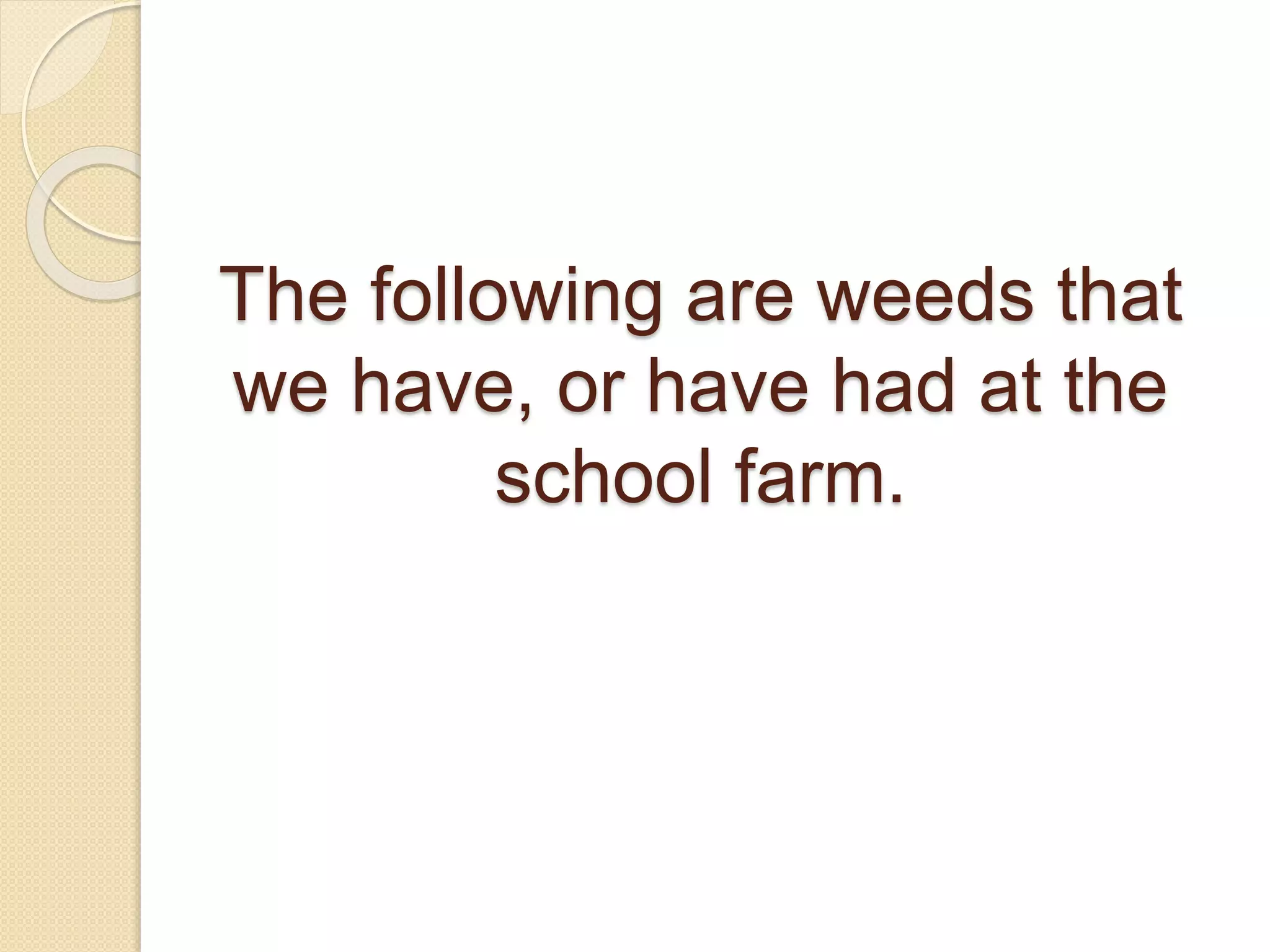 Weed classification for Primary Industries | PPT