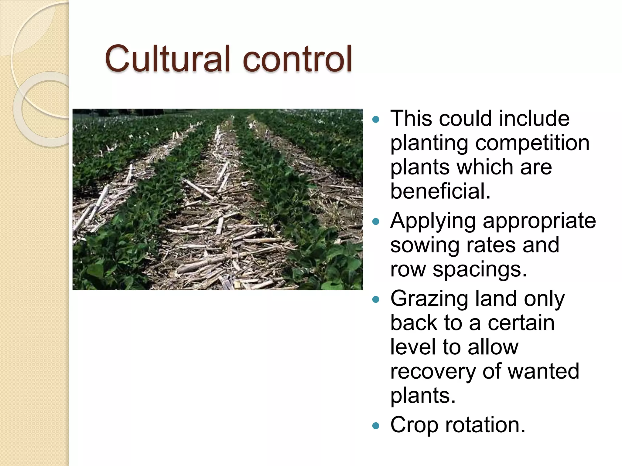 Weed classification for Primary Industries | PPT