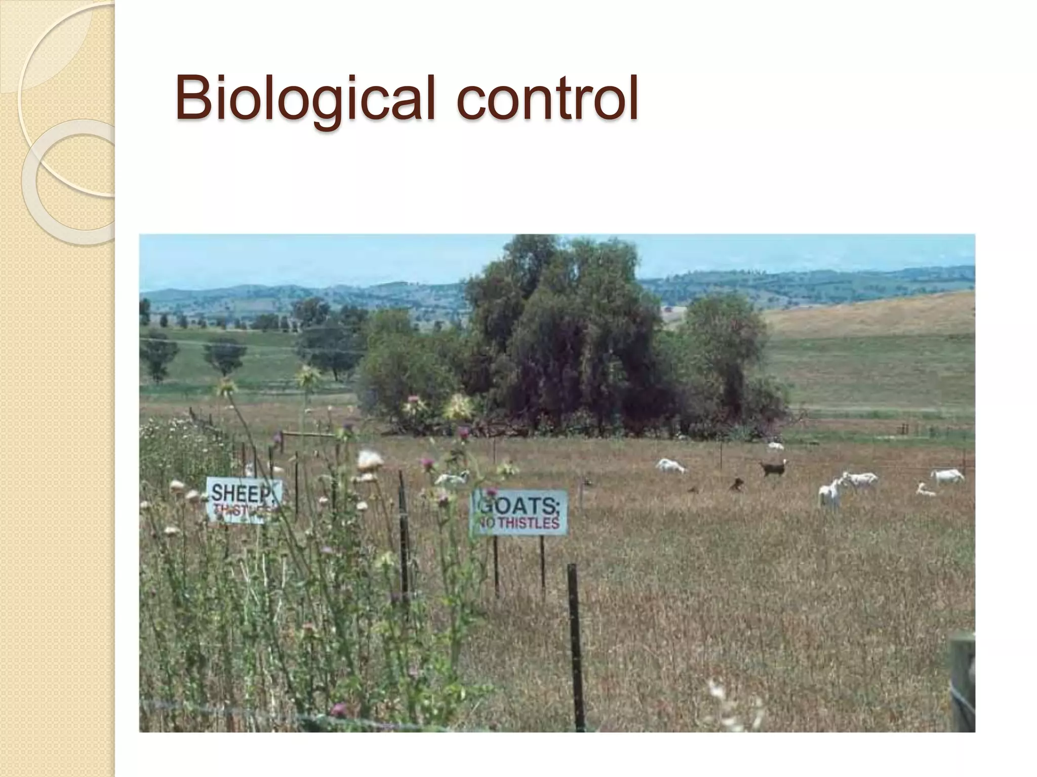 Weed classification for Primary Industries | PPT