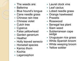 Weed classification for Primary Industries | PPT