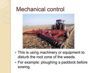 Weed classification for Primary Industries | PPT