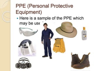 Weed classification for Primary Industries | PPT